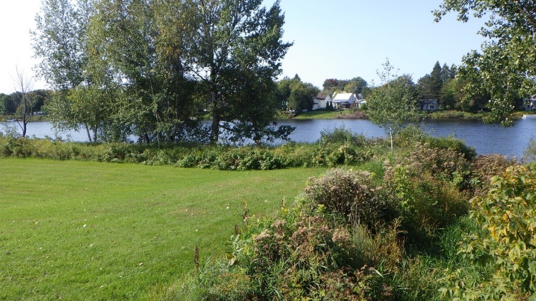 Guide du bon riverain • SAMBBA