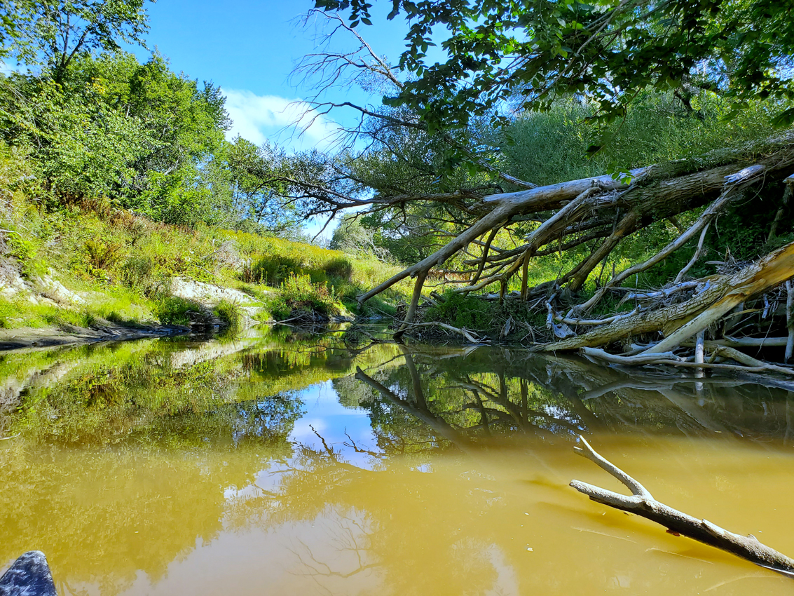 Rivière Champlain : Restauration de l'habitat du dard • SAMBBA