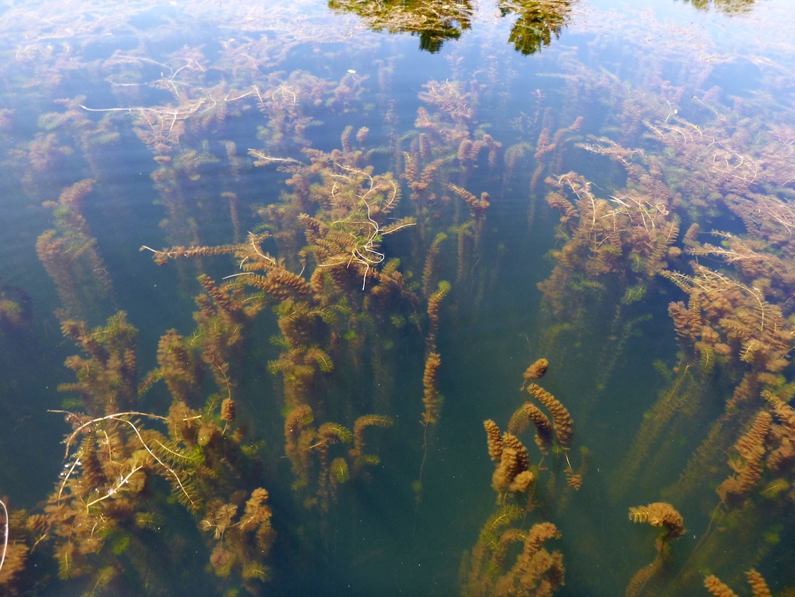 Plan directeur de l'eau (PDE) • SAMBBA