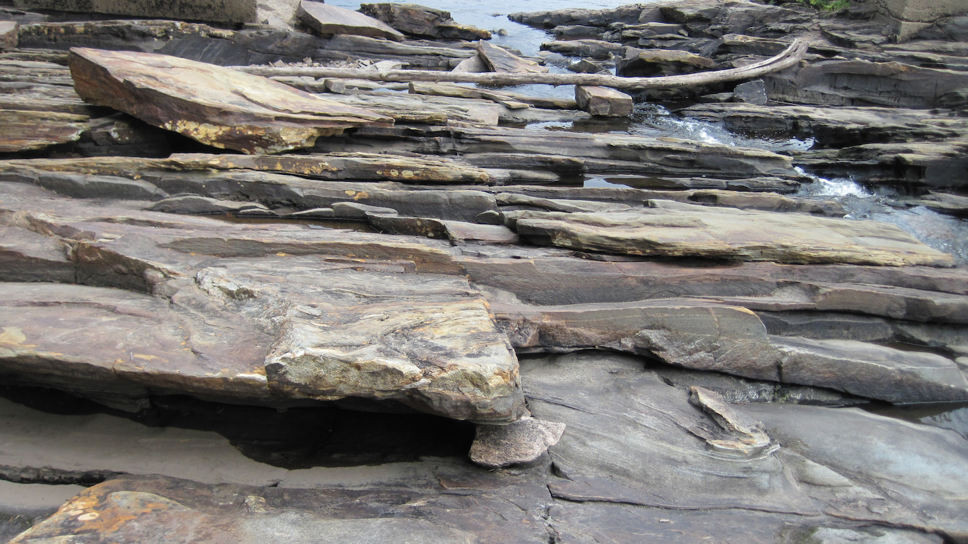 Liens utiles • SAMBBA