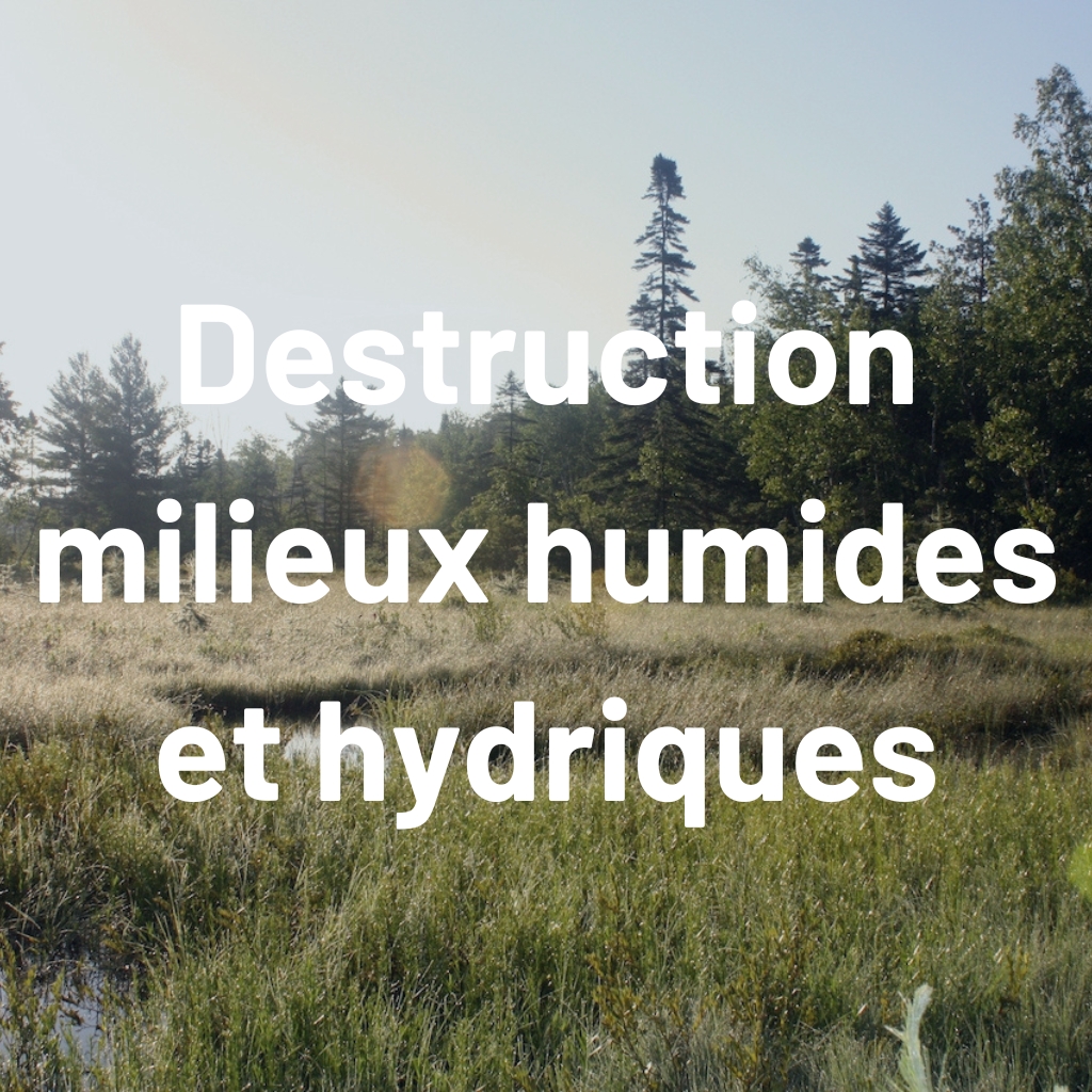 Destruction et/ou dégradation de la qualité des milieux humides ou ...